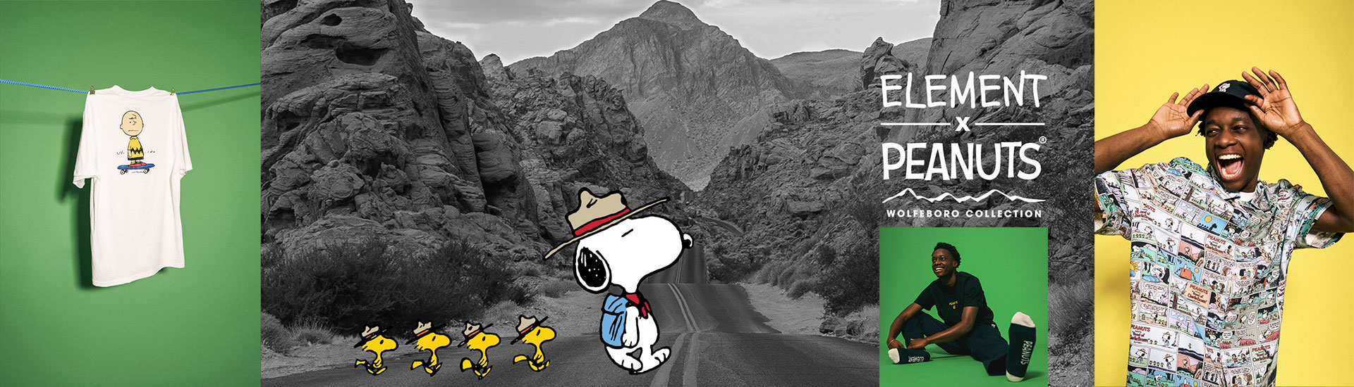 Element x Peanuts - Shifty Board Shop